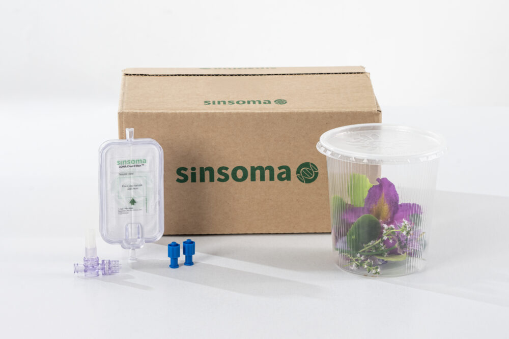 DNA test insect diversity – Sinsoma GmbH
